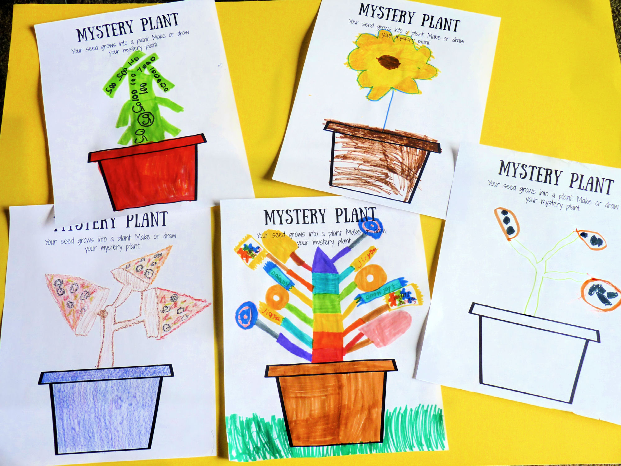 Mystery Seed Creative Writing Pack | More Excellent Me